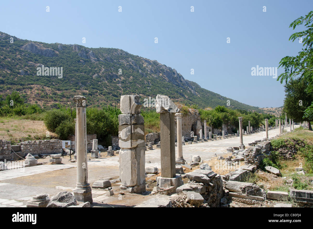 Turkey, Ephesus. Important ancient colonnade, Harbour Street (aka ...