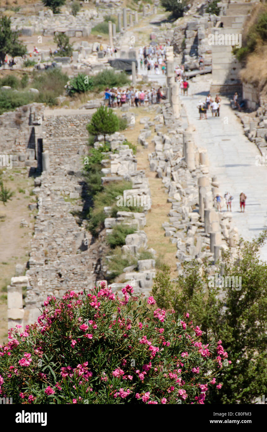 Turkey, Ephesus. Overview of ancient colonnade, The Marble Avenue (aka ...