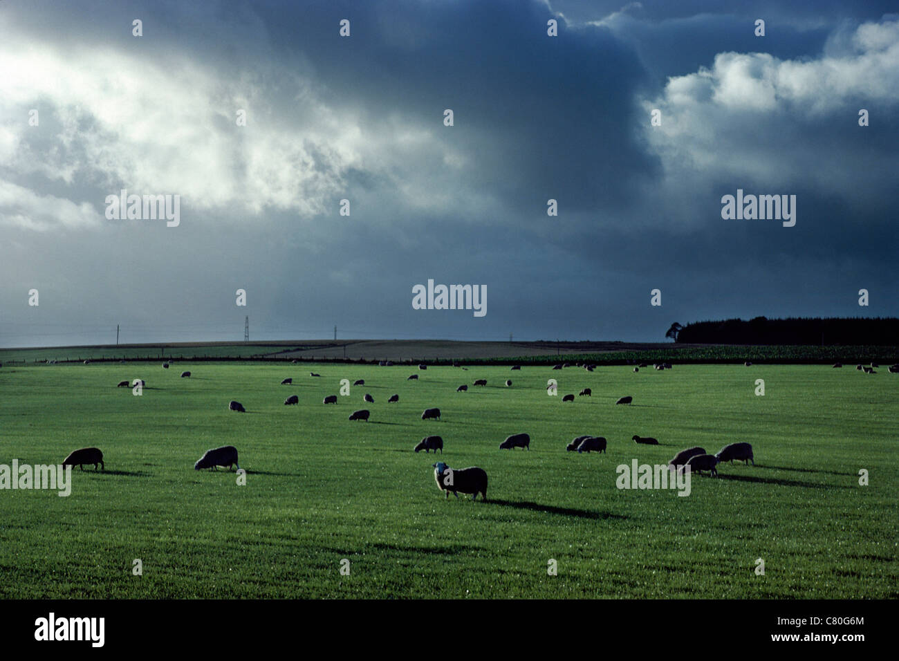 English highlands hi-res stock photography and images - Alamy