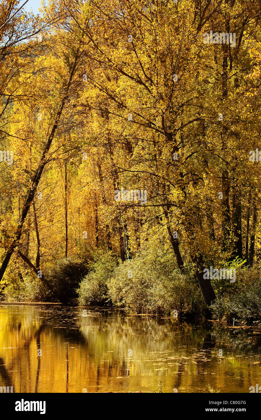 Naturalezas hi-res stock photography and images - Alamy