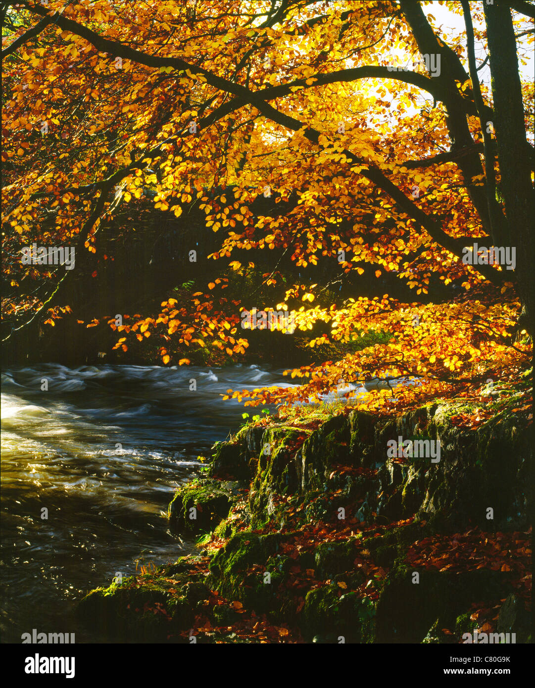 Clappersgate bridge hi-res stock photography and images - Alamy