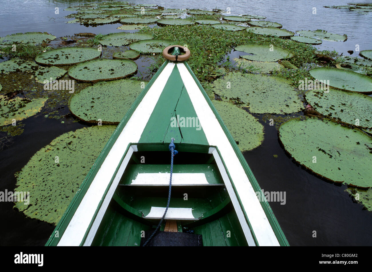 Brazil, Amazonas, Manaus, River Stock Photo - Alamy