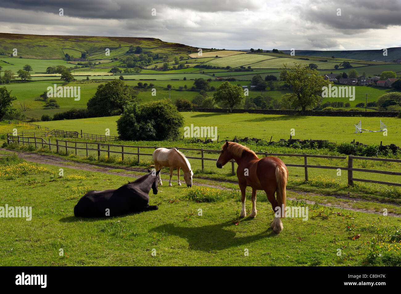 UK, England, Yorkshire, Yorkshire Moors National Park Stock Photo - Alamy