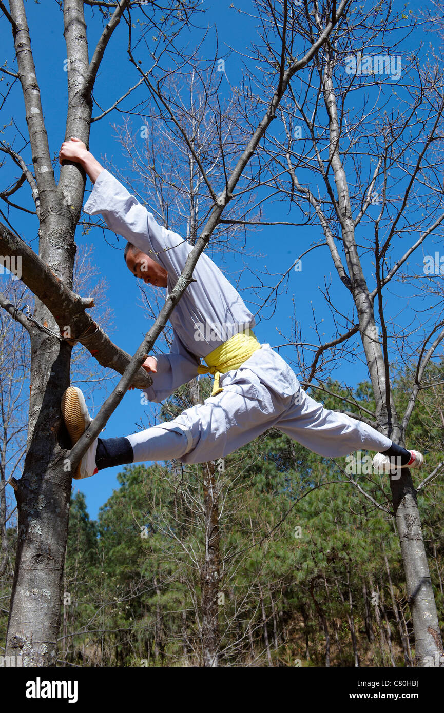 Monk practising martial arts hi-res stock photography and images - Alamy
