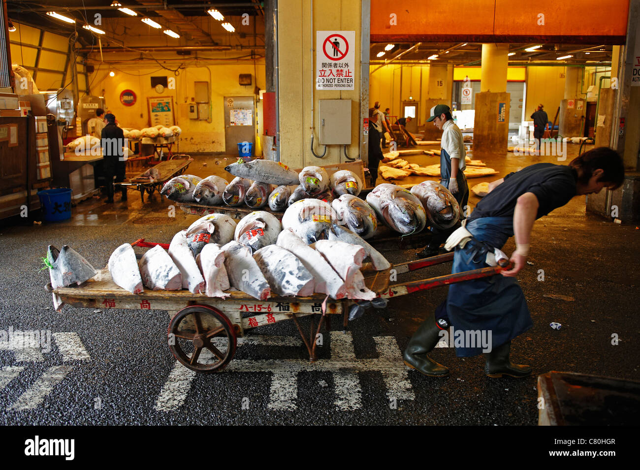 Japan, Tokyo, frozen tunas in the Tsukiji fish market Stock Photo - Alamy