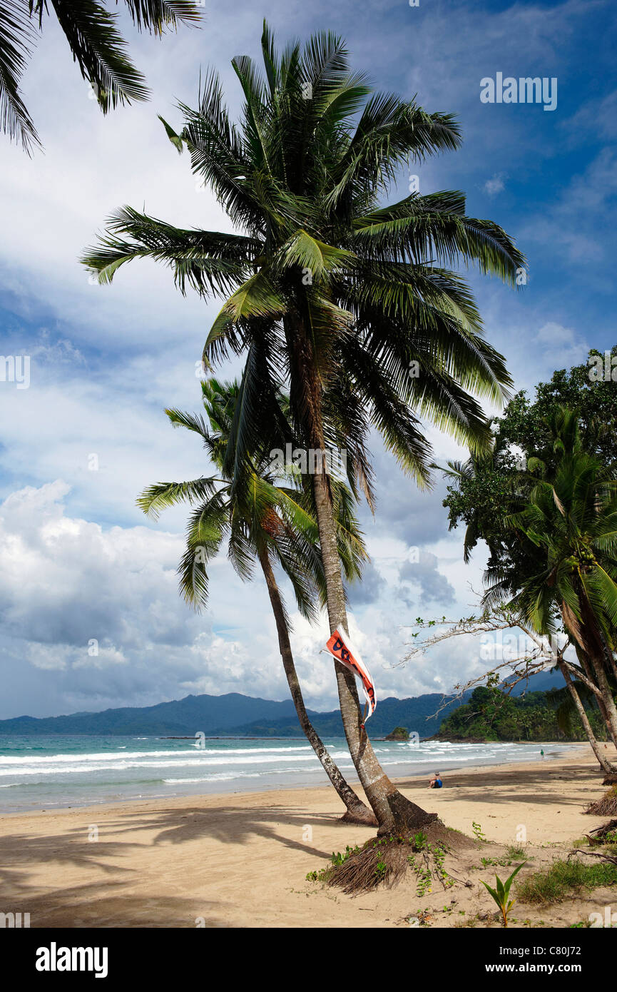 Philippines, Palawan, west coast Stock Photo - Alamy