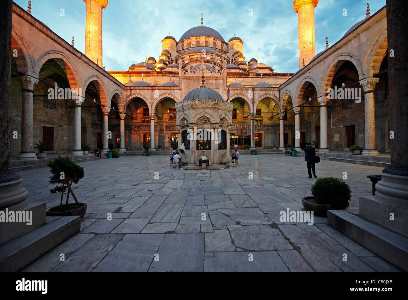 Cami hi-res stock photography and images - Alamy