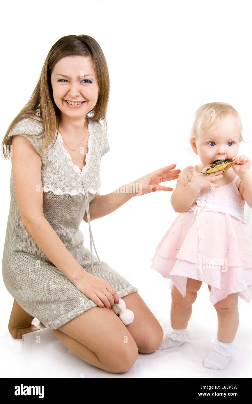 Insect family hi-res stock photography and images - Alamy