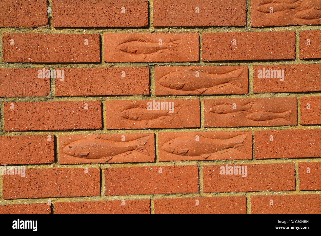 Fishes imprinted in building bricks in wall Stock Photo - Alamy