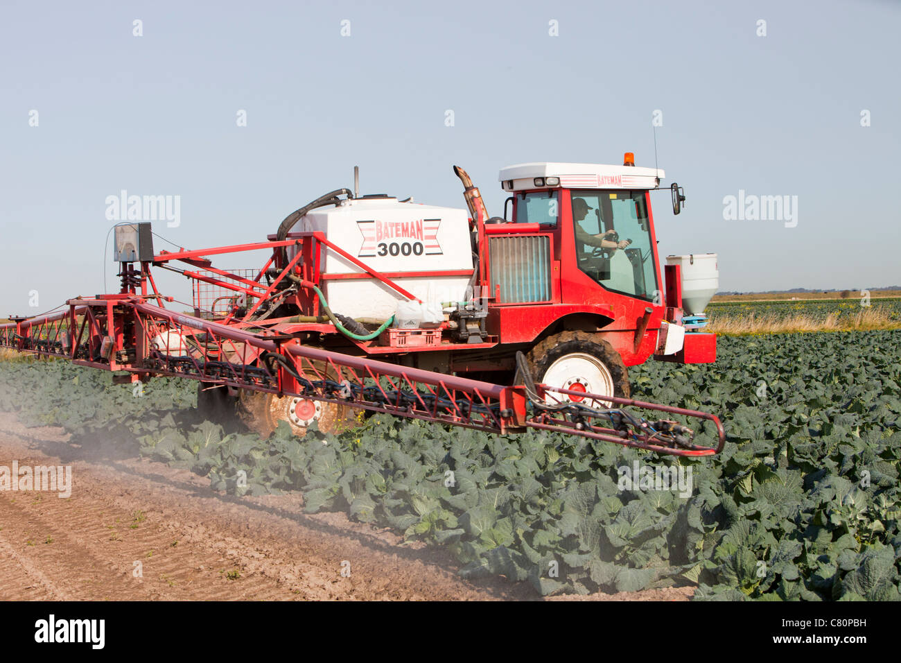 Farmer spraying cabbages pesticide banks hi-res stock photography and ...