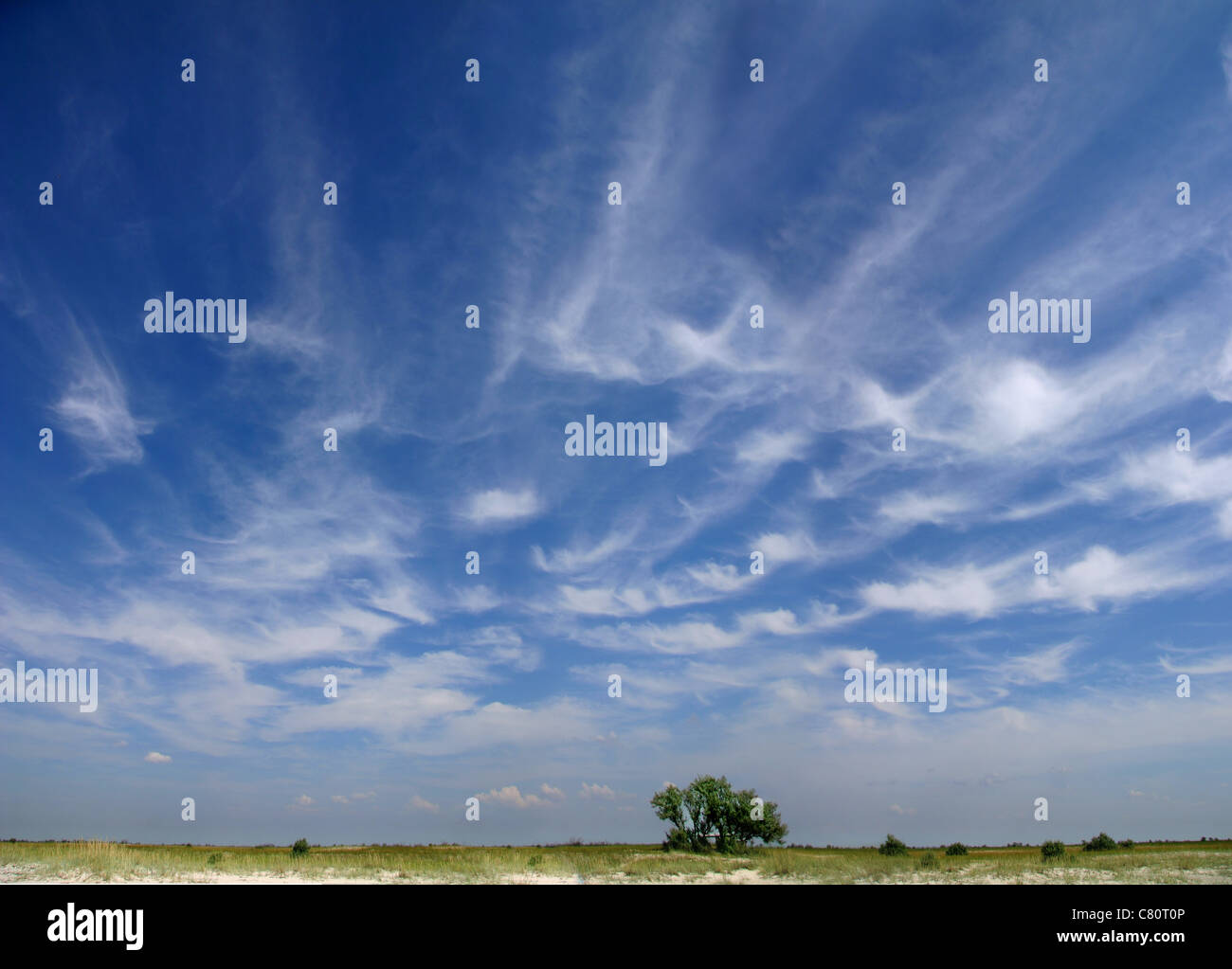 Flying spindrift hi-res stock photography and images - Alamy