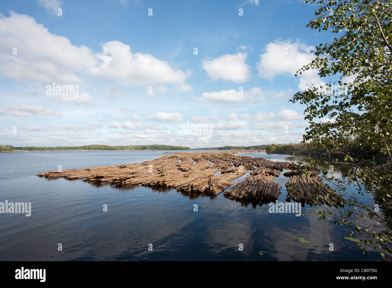 Log raft hi-res stock photography and images - Alamy