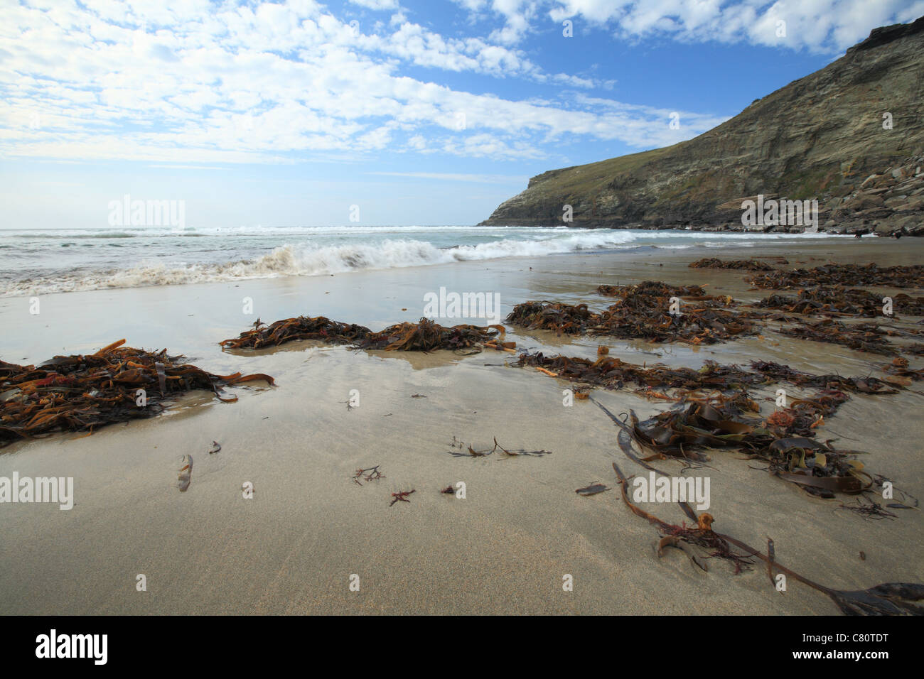 Penhallic point cornwall coast hi-res stock photography and images - Alamy