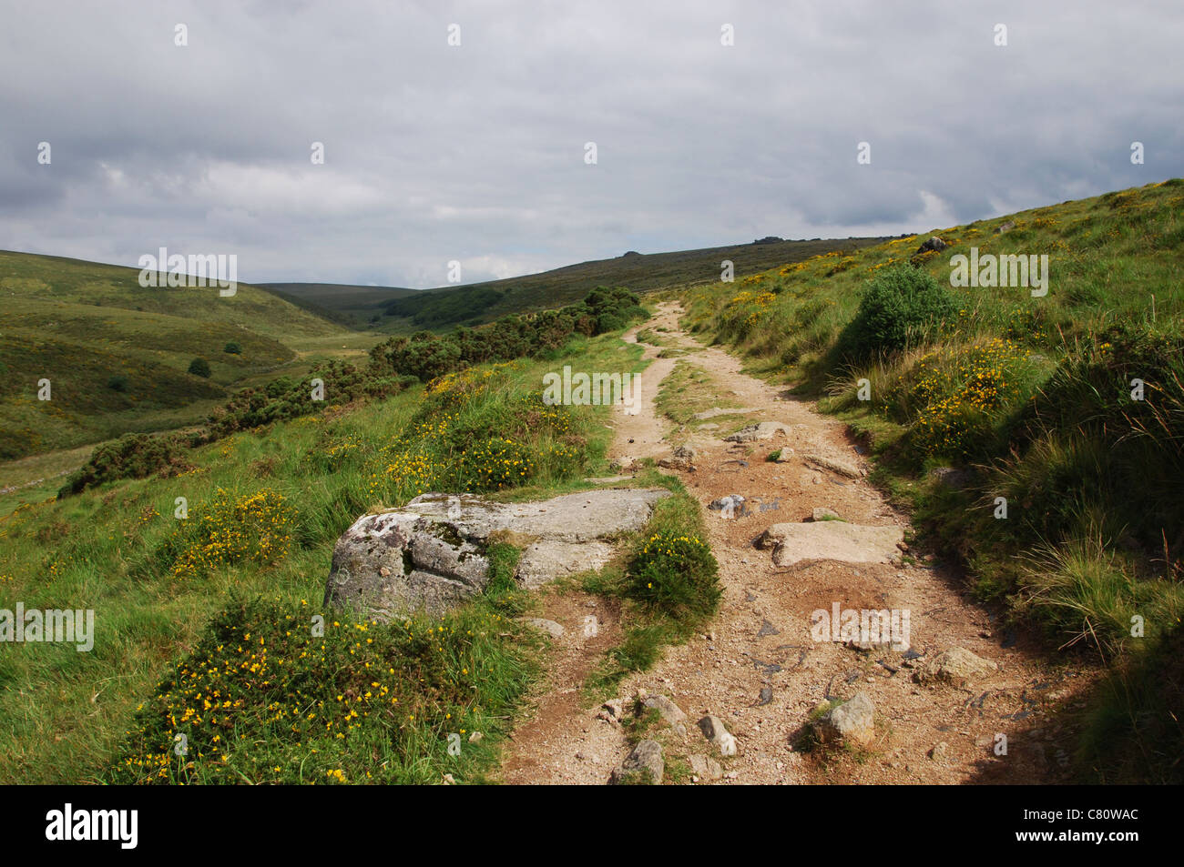 Devon higher tor walkers hi-res stock photography and images - Alamy