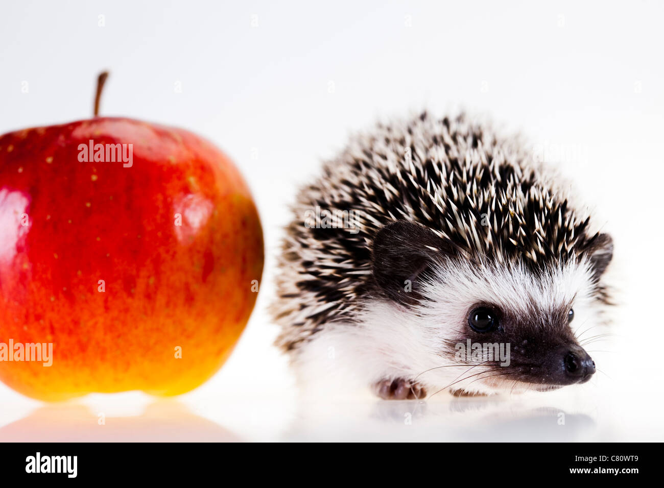 Hog apple hi-res stock photography and images - Alamy