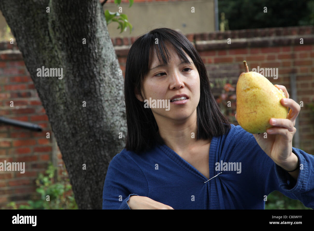 Girl with a pear picked from a tree above her Stock Photo - Alamy