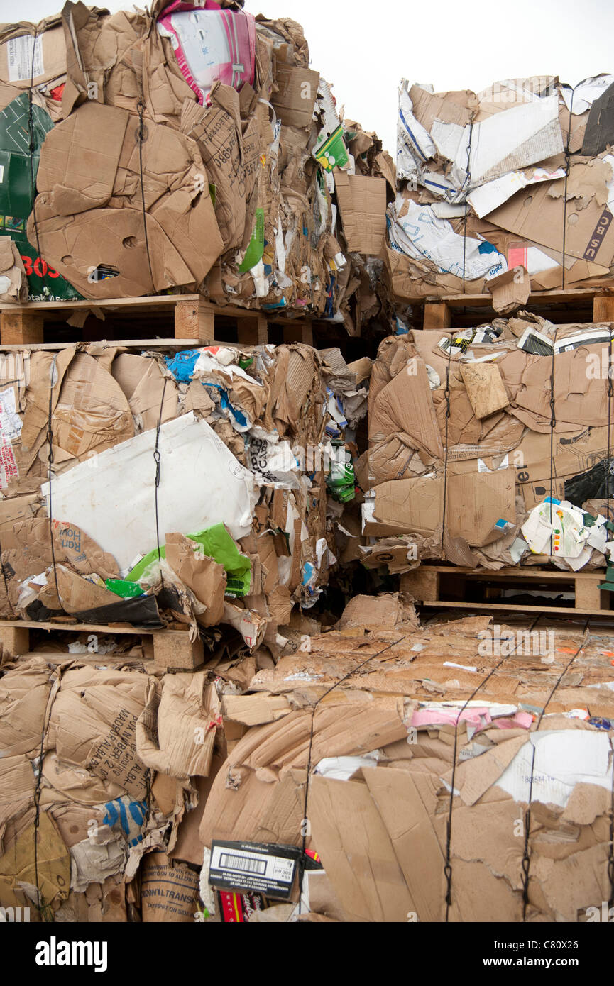 Bales of compacted waste cardboard awaiting collection for recycling UK ...