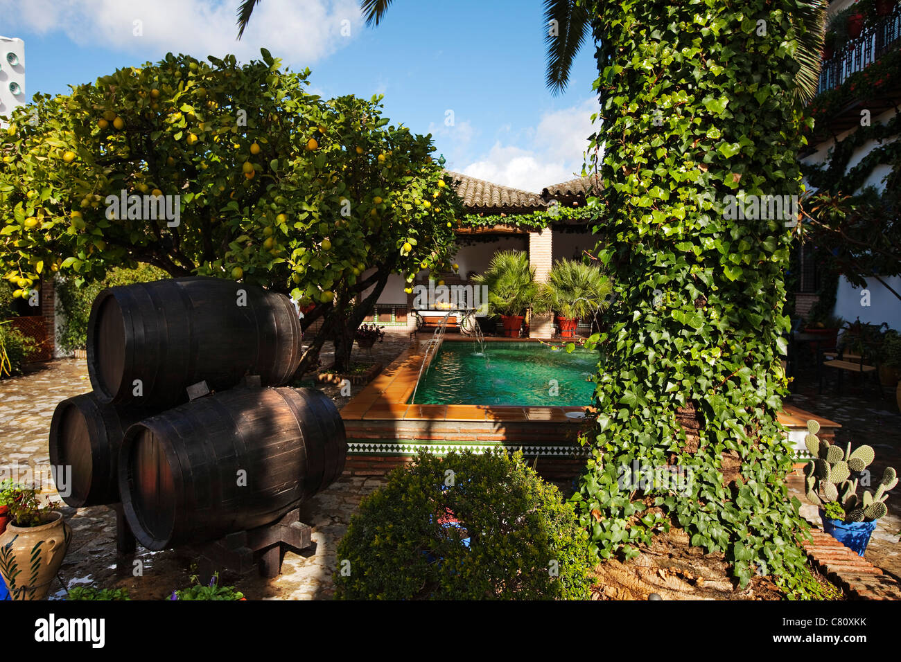 Courtyard at Anis Museum in Rute Cordoba Andalusia Spain Stock Photo ...
