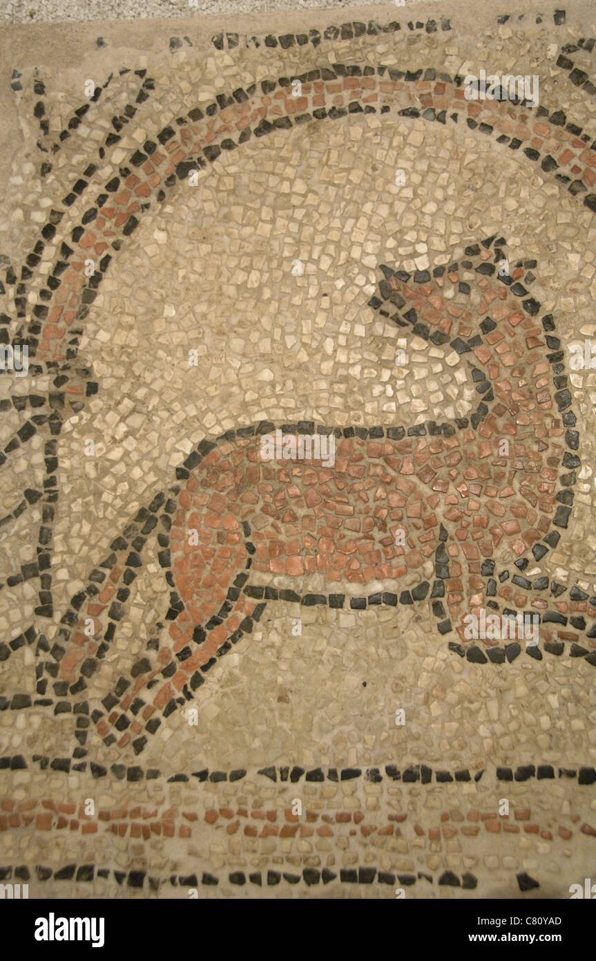 Early Christian art. Mosaic depicting a dog. Dated between the 5th and ...