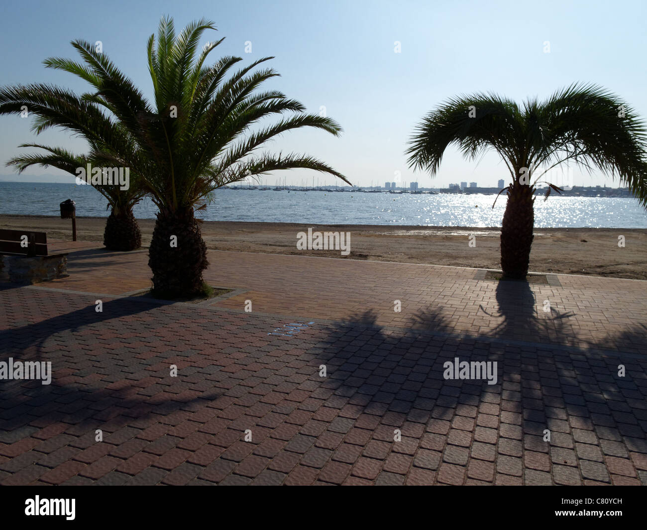 Walkways with palm trees at Lo Pagan, La Manga Spain Stock Photo - Alamy