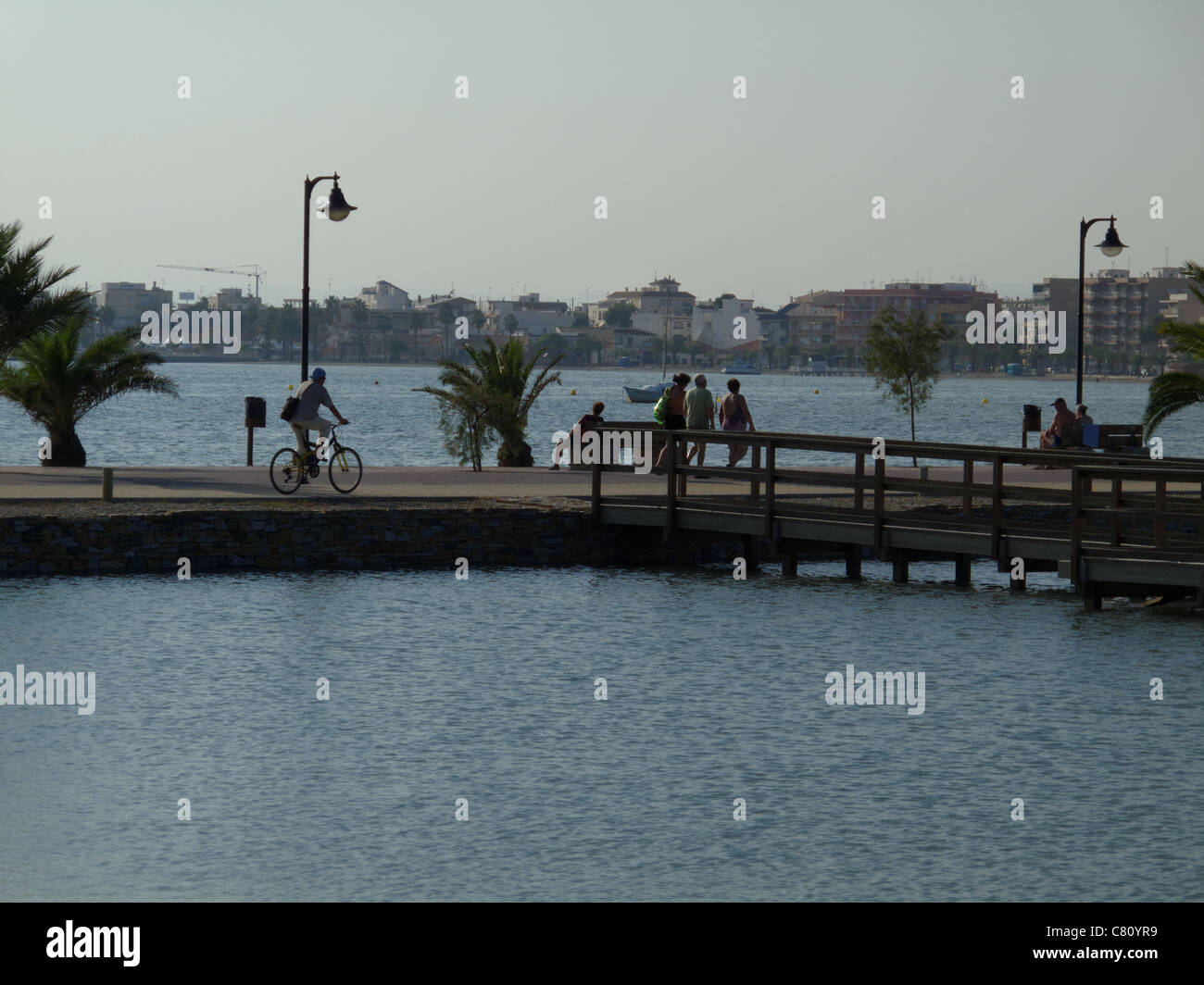Walkways with palm trees at Lo Pagan, La Manga Spain Stock Photo - Alamy