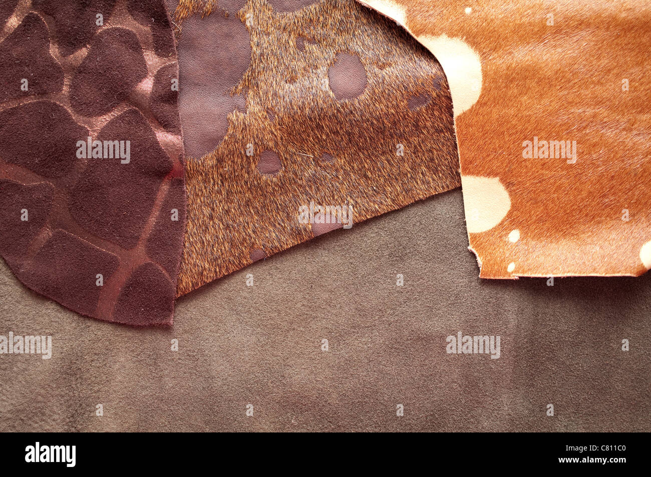 leather samples with different color and prints Stock Photo - Alamy