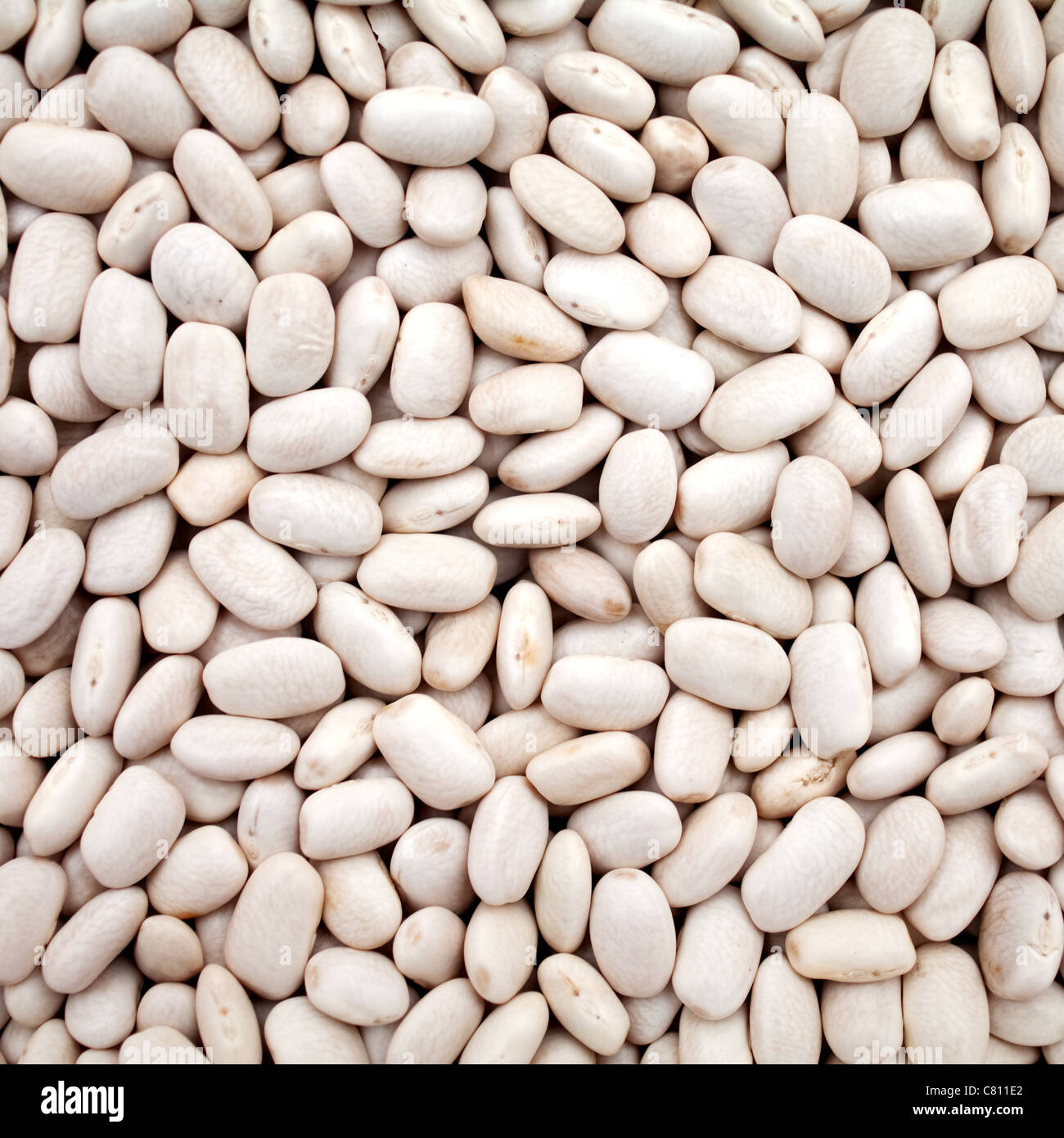 background with white haricot beans Stock Photo - Alamy