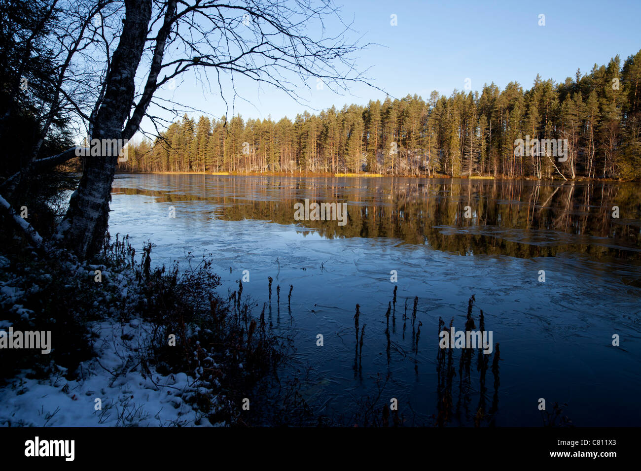 Forest lake freezing over at Autumn , Finland Stock Photo - Alamy