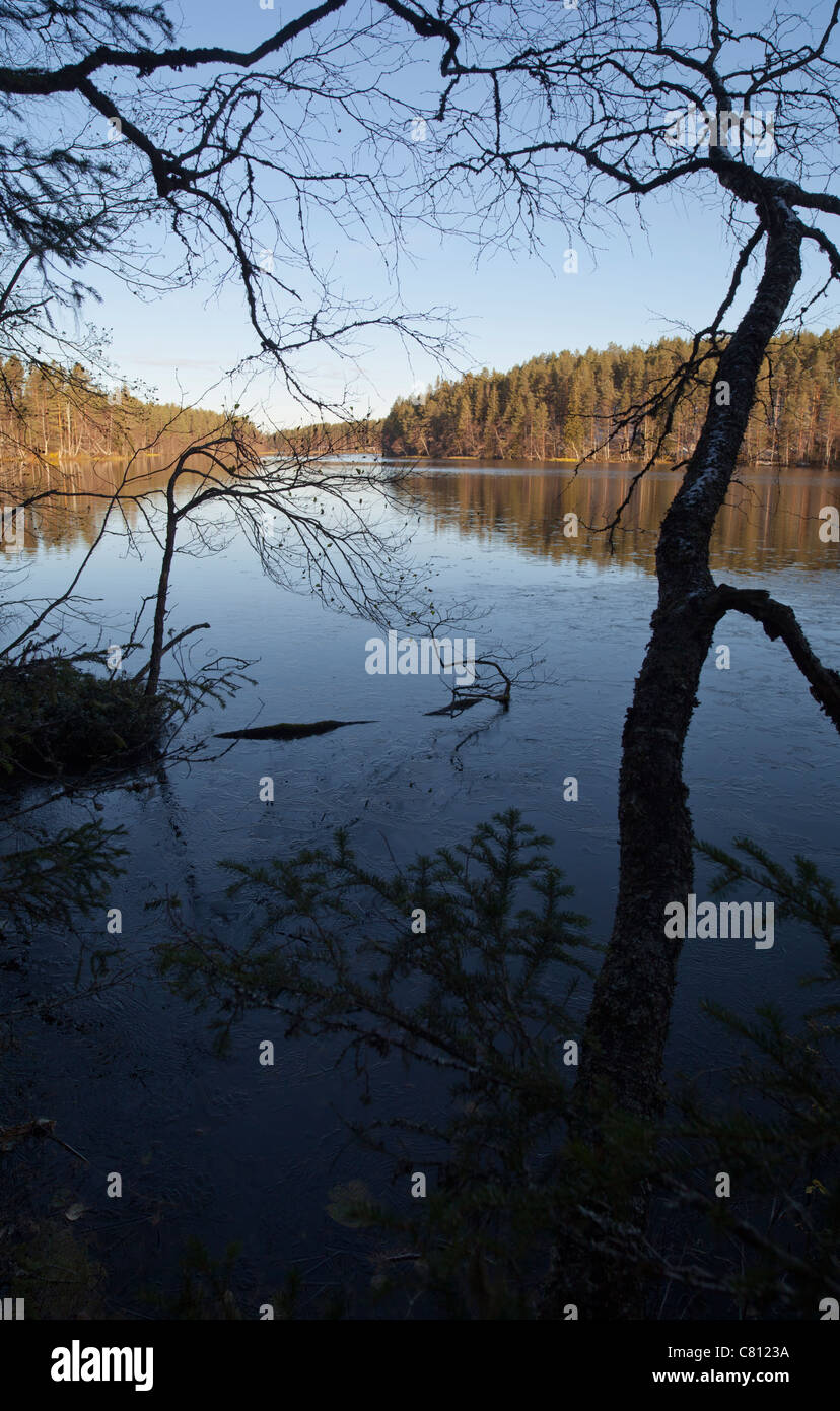 Forest lake freezing over at Autumn , Finland Stock Photo - Alamy