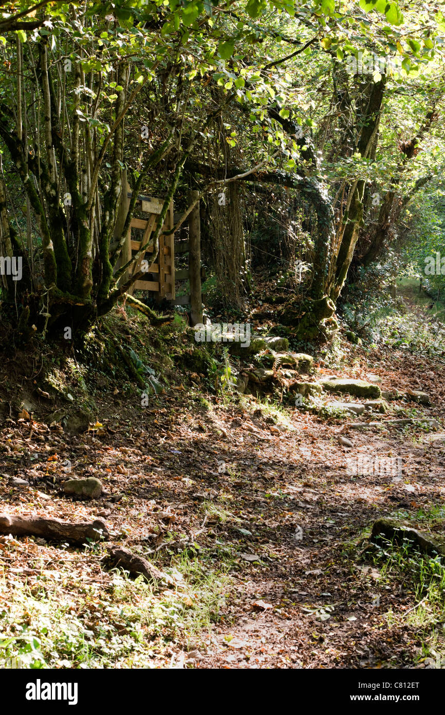 Tarr steps Exmoor Devon England UK Stock Photo - Alamy