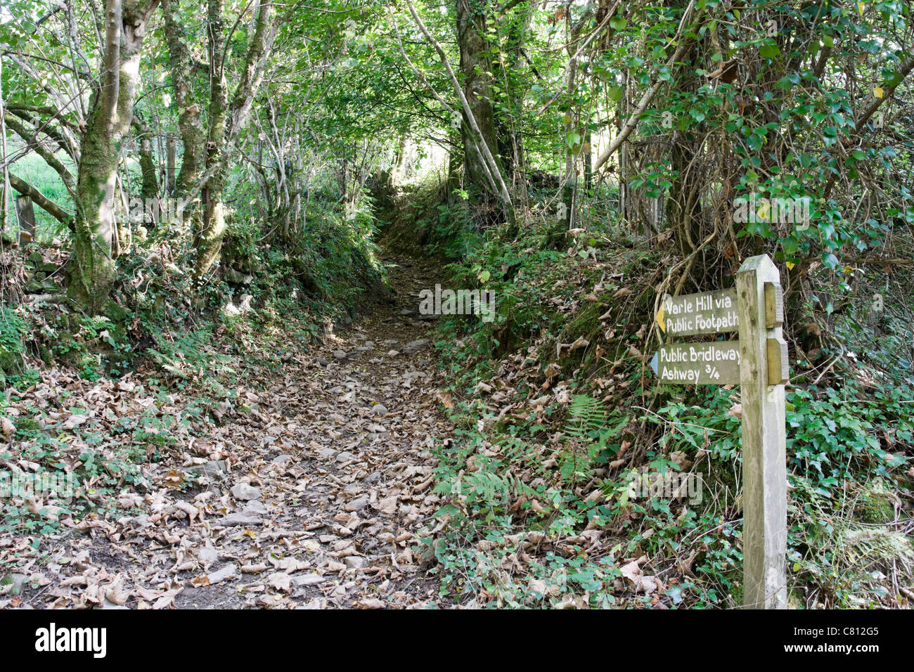 Tarr steps devon countryside hi-res stock photography and images - Alamy