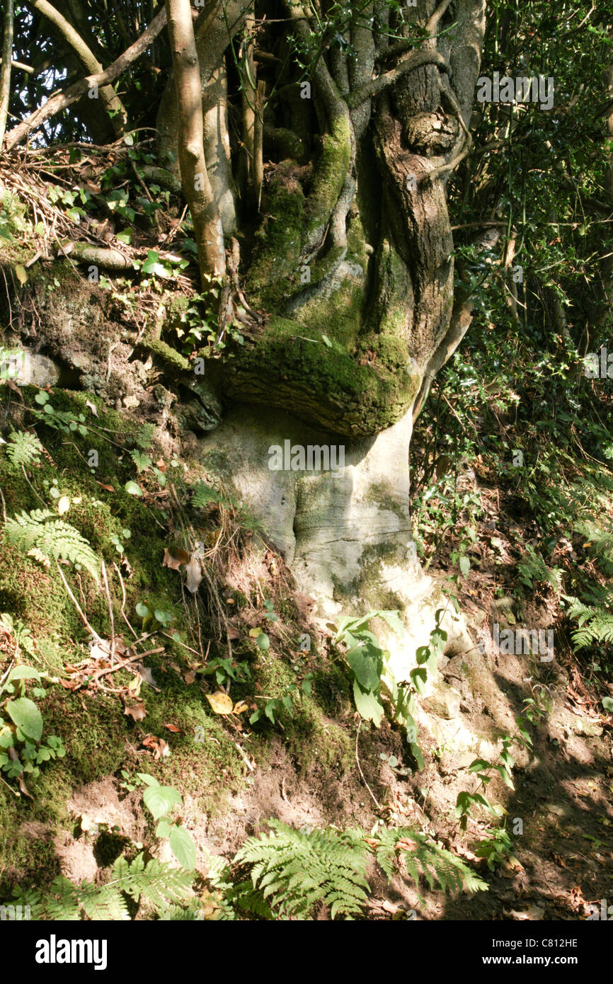Tarr steps Exmoor Devon England UK Stock Photo - Alamy