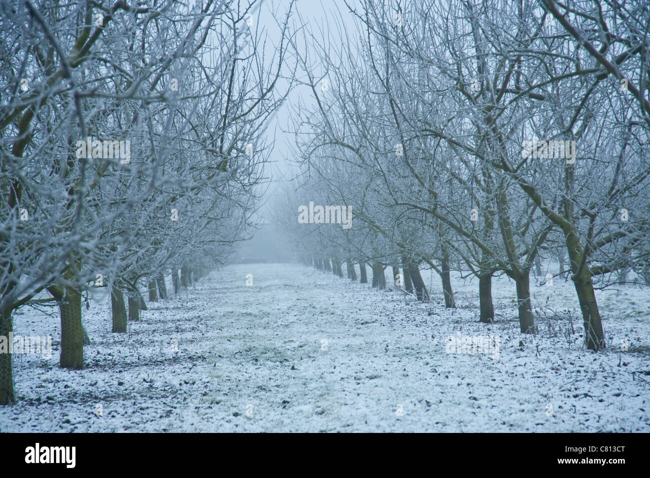Mist ground east anglia hi-res stock photography and images - Alamy