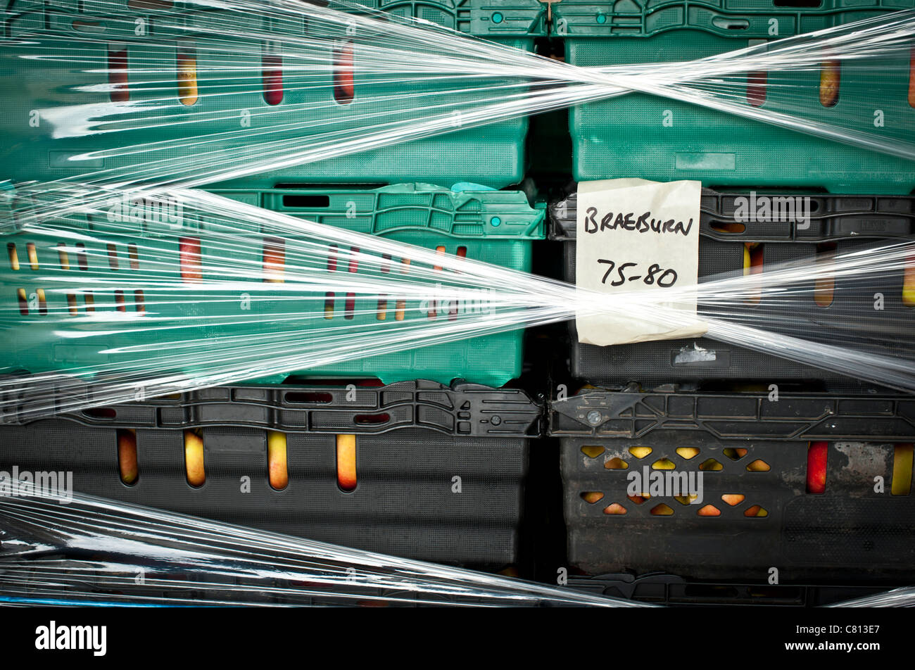 Braeburn apple storage boxes wrapped in clingfilm stacked up in a ...