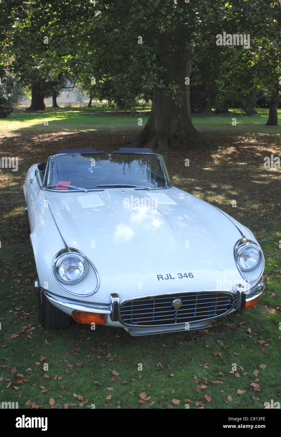 White e type jaguar hi-res stock photography and images - Alamy