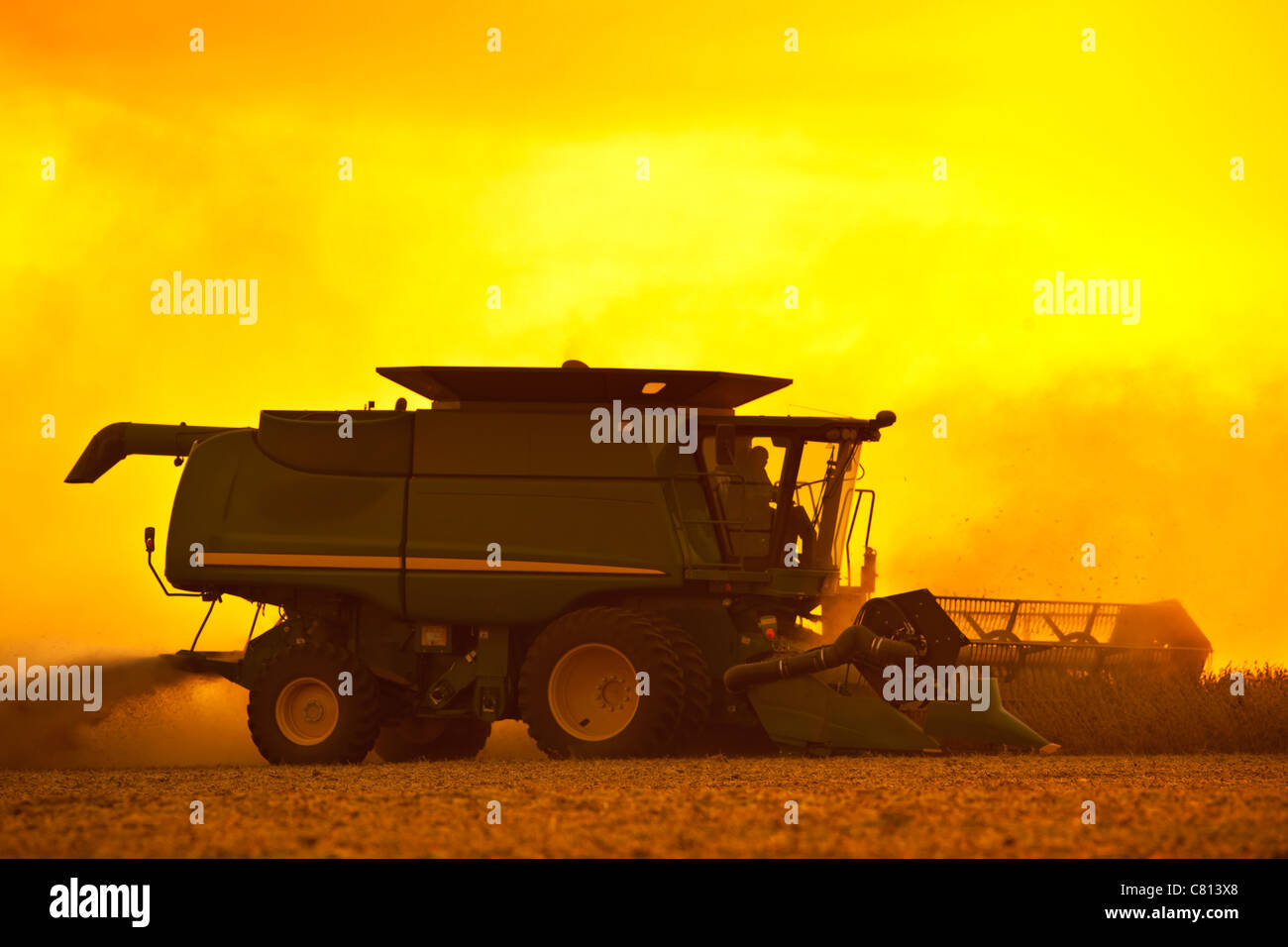 Soybeans hi-res stock photography and images - Alamy