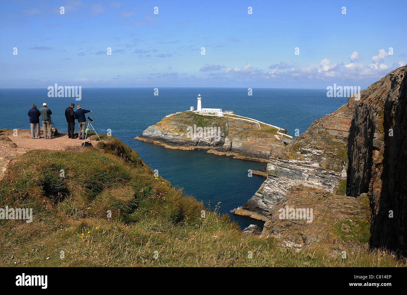 BIRDWATCHERS AT SOUTH STACK, ANGLESEY, NORTH WALES Stock Photo - Alamy