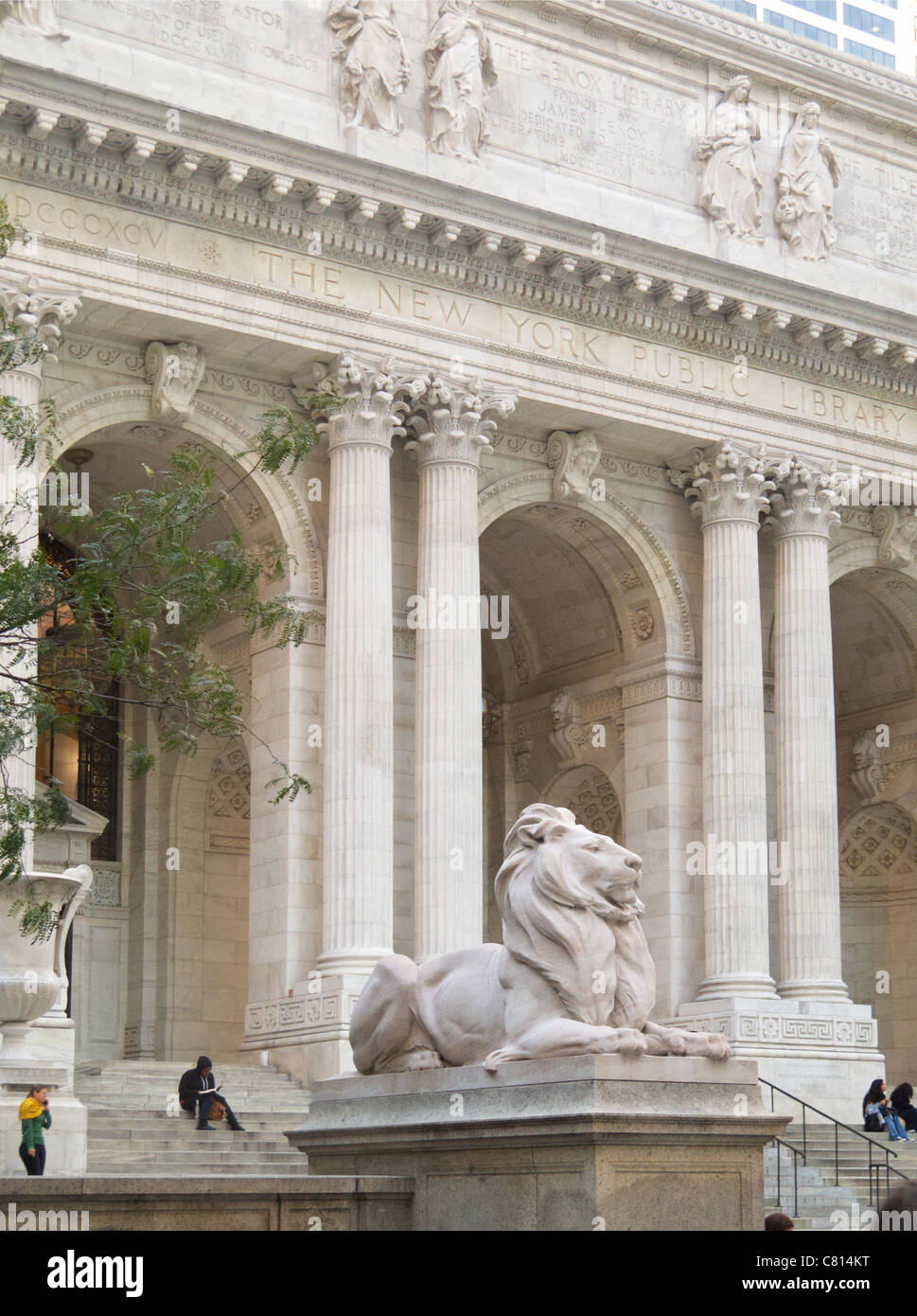 New York Public Library Lions Stock Photo - Alamy