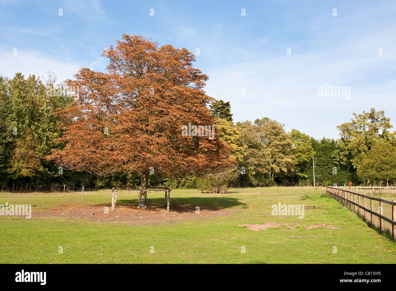 Colours of uk hi-res stock photography and images - Alamy