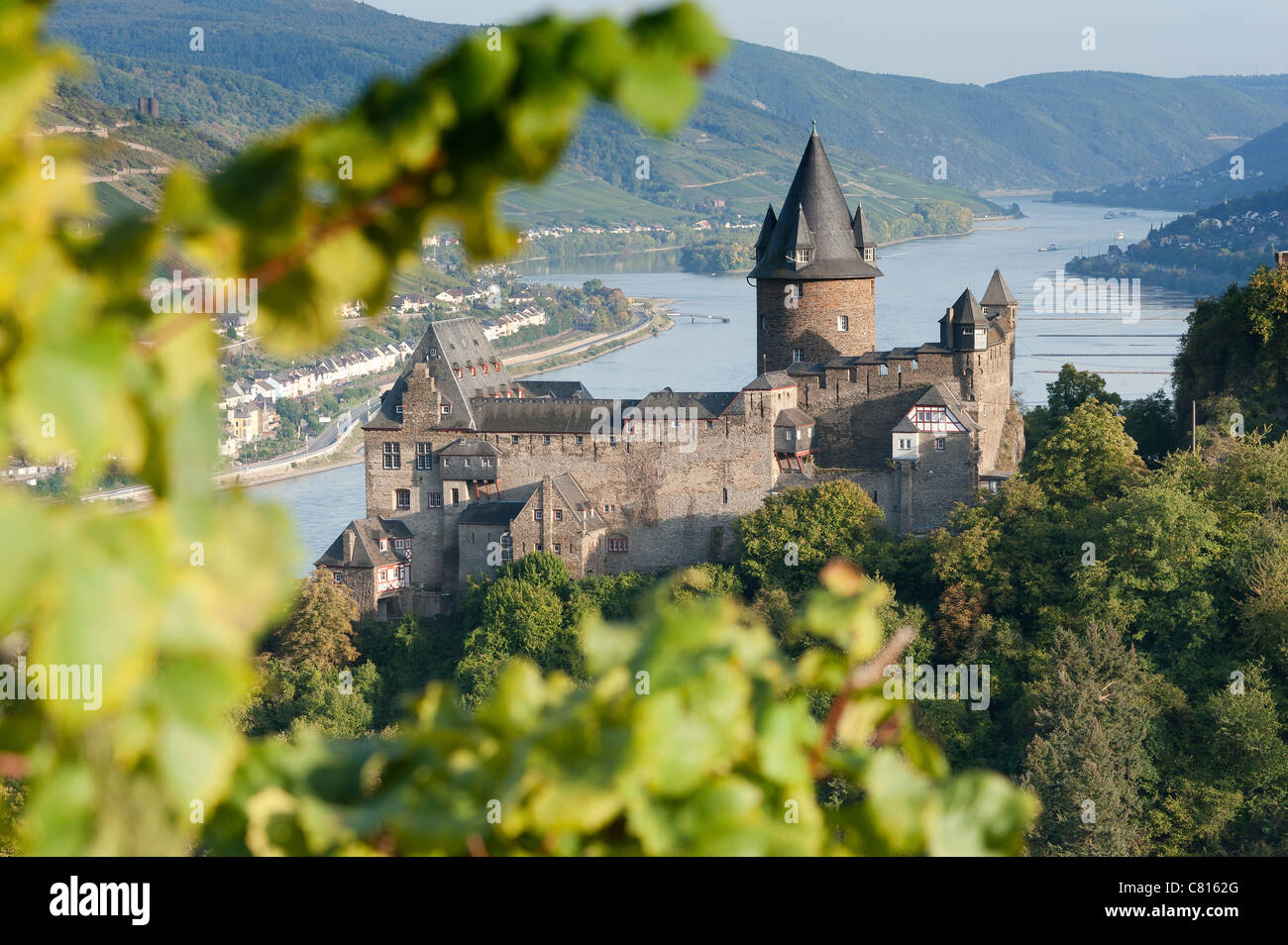 Stahleck Castle viewed from Vineyard in Bacharach village on Romantic ...