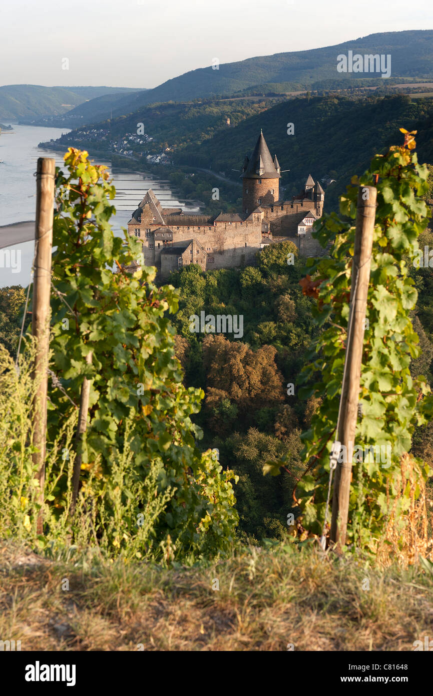 Stahleck Castle viewed from Vineyard in Bacharach village on Romantic ...
