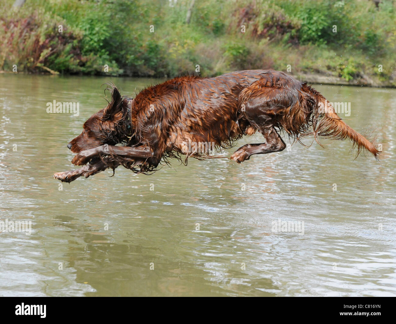 Gung ho hi-res stock photography and images - Alamy