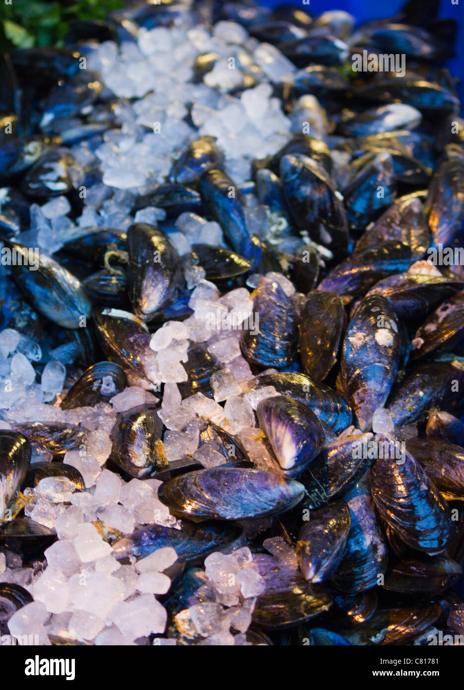 Mussels at a market stall in Borough Market Stock Photo - Alamy