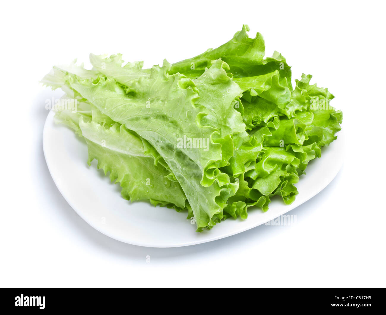 Romaine lettuce white hi-res stock photography and images - Alamy