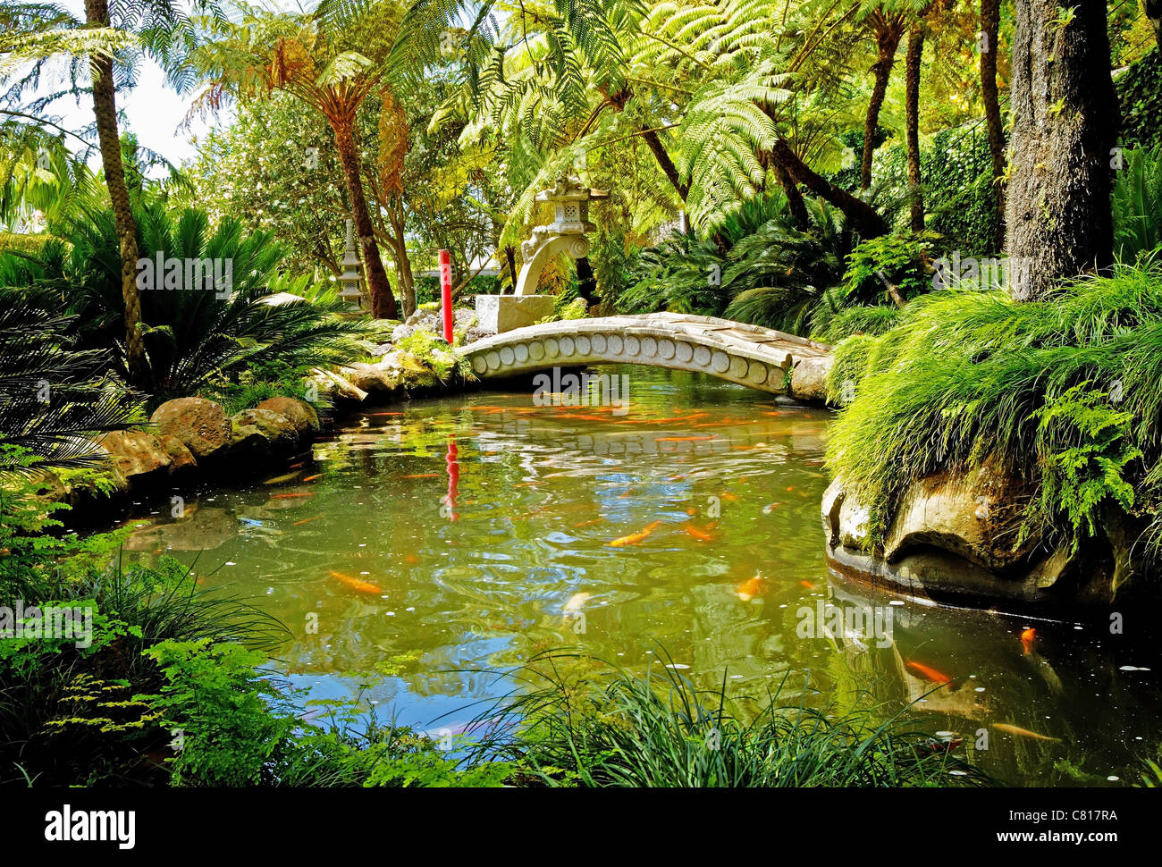 Japanese garden water hi-res stock photography and images - Alamy