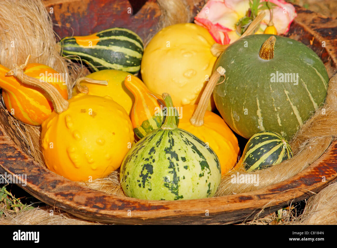 Wicker basket full of decorative gourd Stock Photo - Alamy