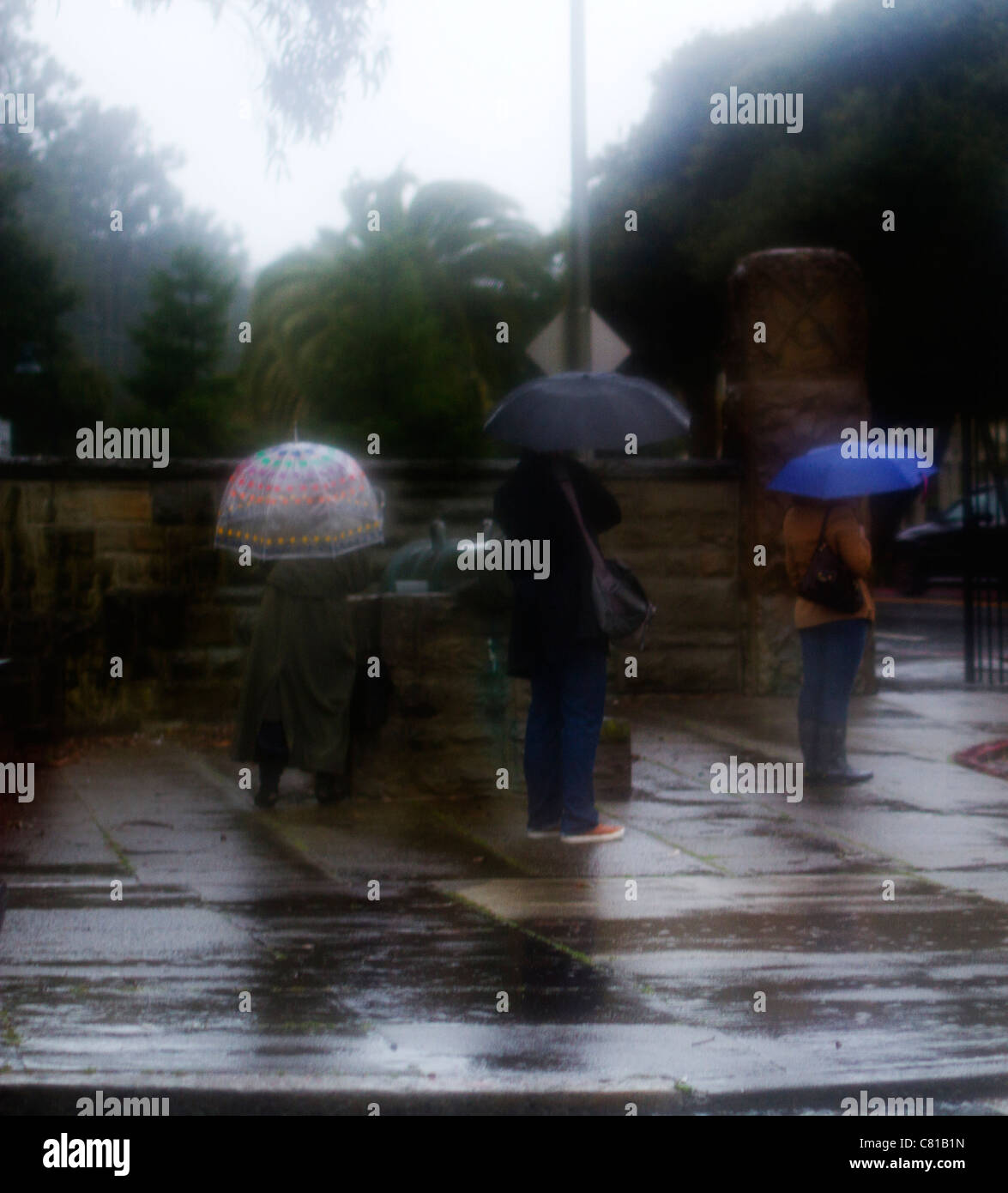 cold rain and umbrellas Stock Photo - Alamy