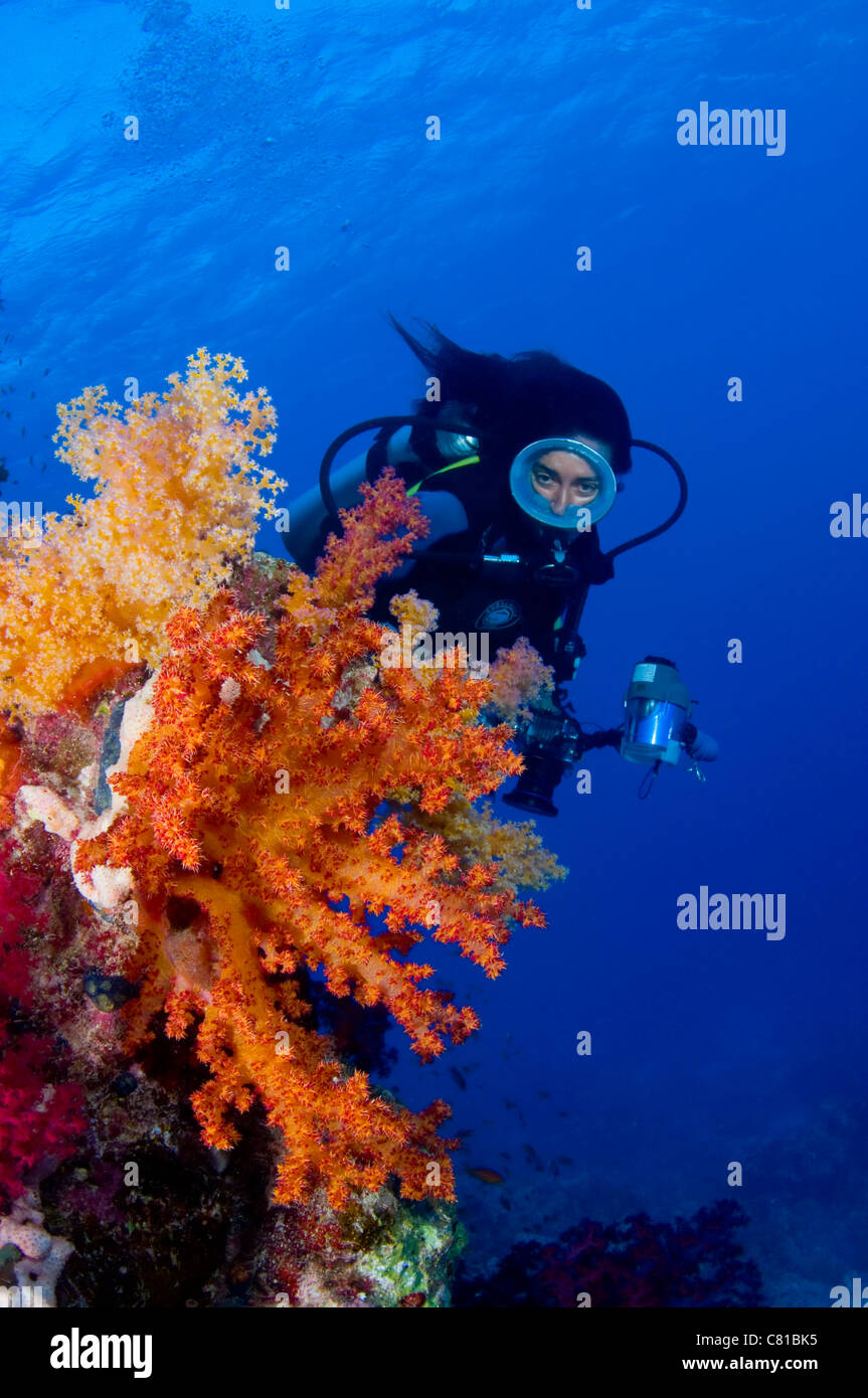 Scuba diving in the Red Sea, diver, female diver, oval mask ...