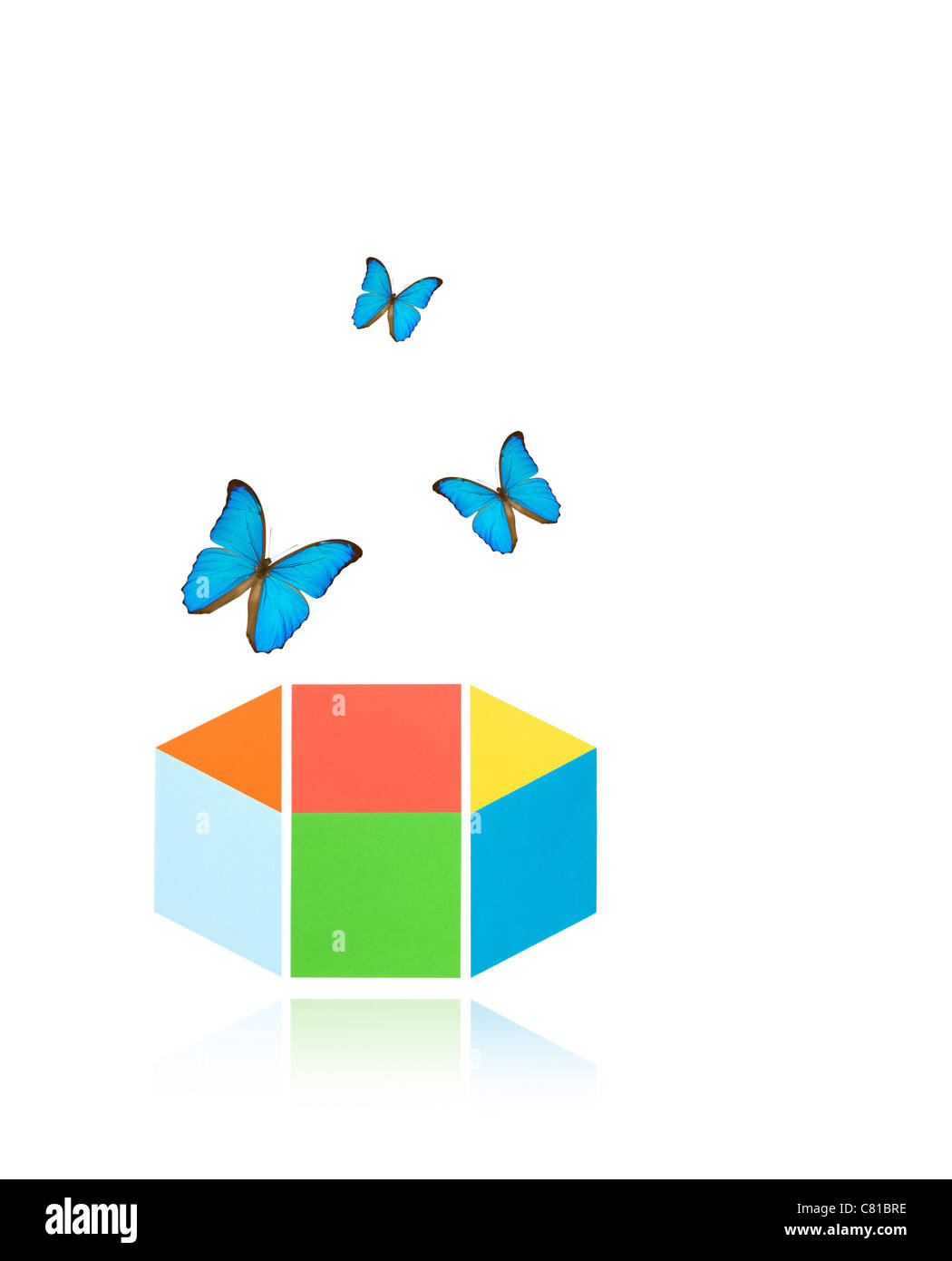 Butterflies Over Colourful Block Stock Photo - Alamy