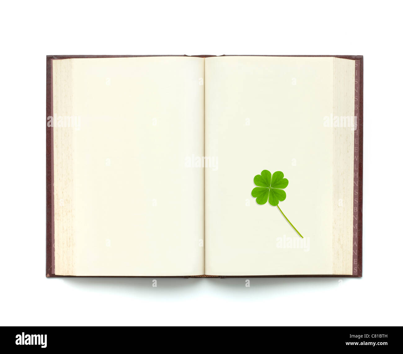 Four Leaf Clover on Book Stock Photo - Alamy